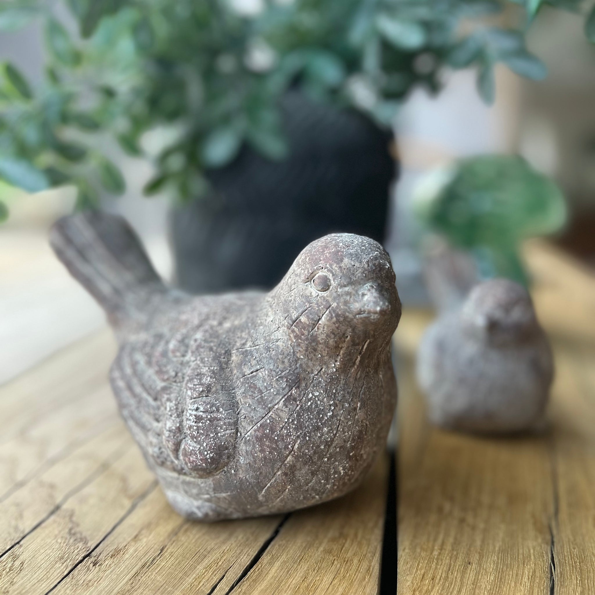 Merlin Bird Ornament | Decorative Homeware | Henderson's