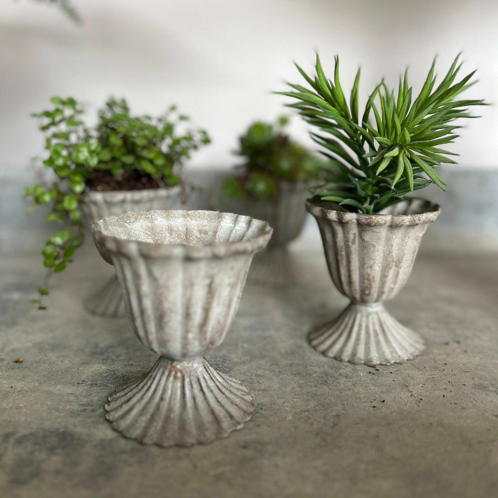 Unique & Reclaimed Plant Pots & Vases | Henderson's