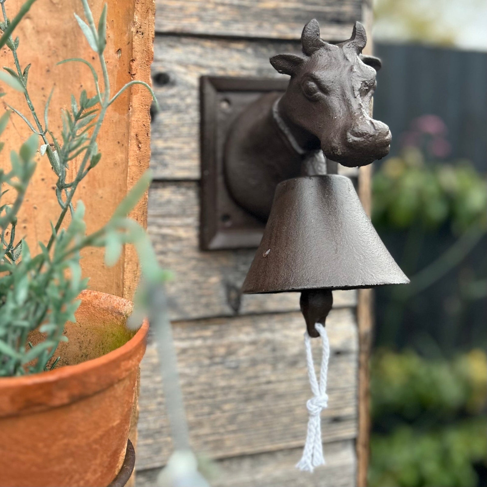Cow Head Doorbell | Hardware | Garden Utility | Henderson's
