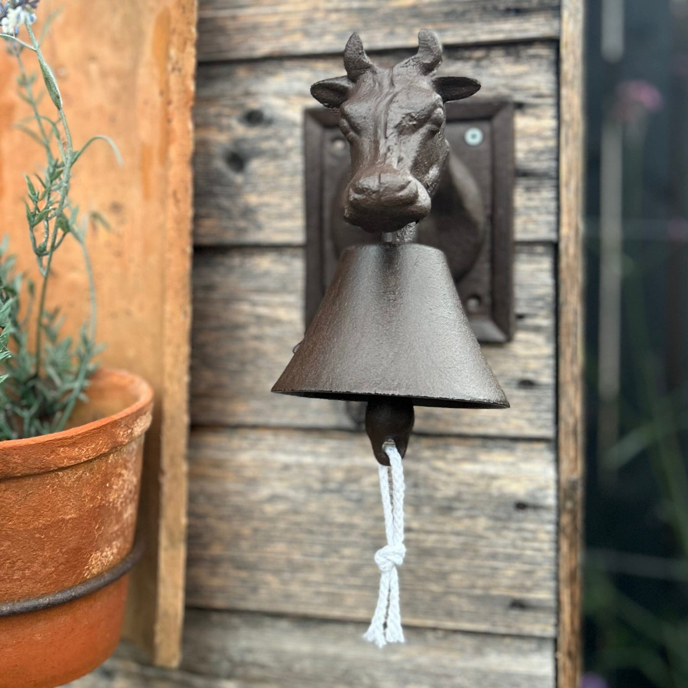 Cow Head Doorbell | Hardware | Garden Utility | Henderson's